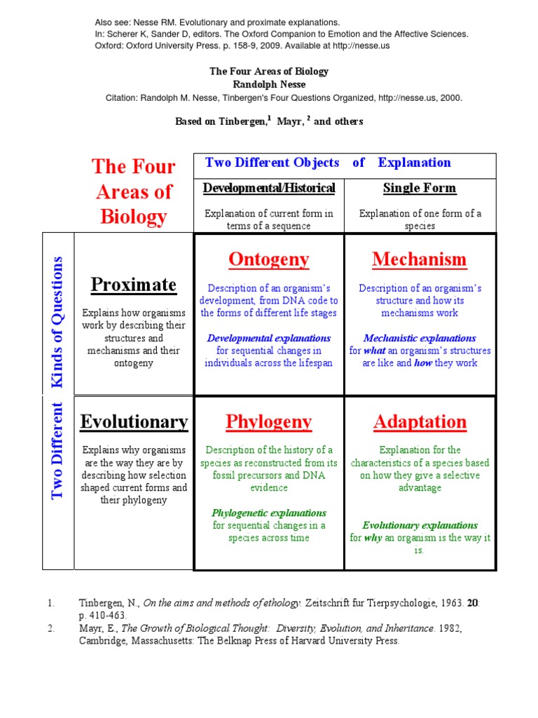 The Four Areas of Biology | PDF