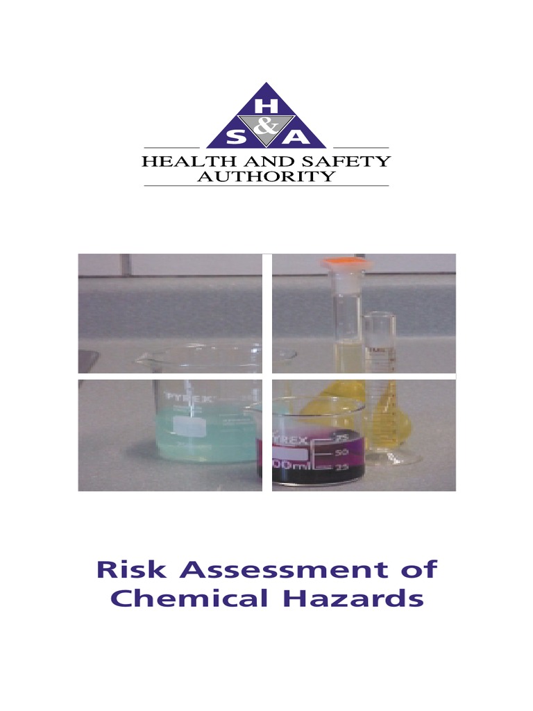 Chemical Risk Assessment PDF | PDF | Personal Protective Equipment | Risk