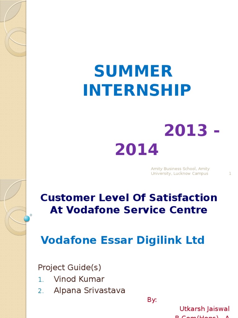 SIP Presentation | PDF | Questionnaire | Retail