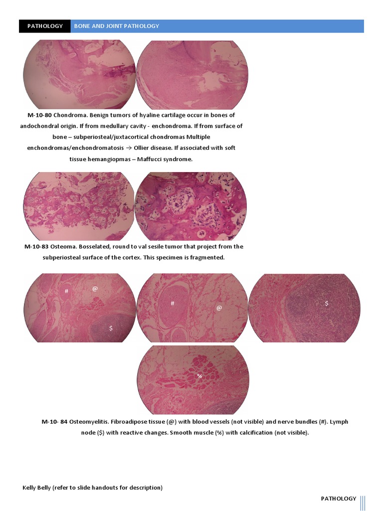 Bone & Joint Pathology Guide | PDF