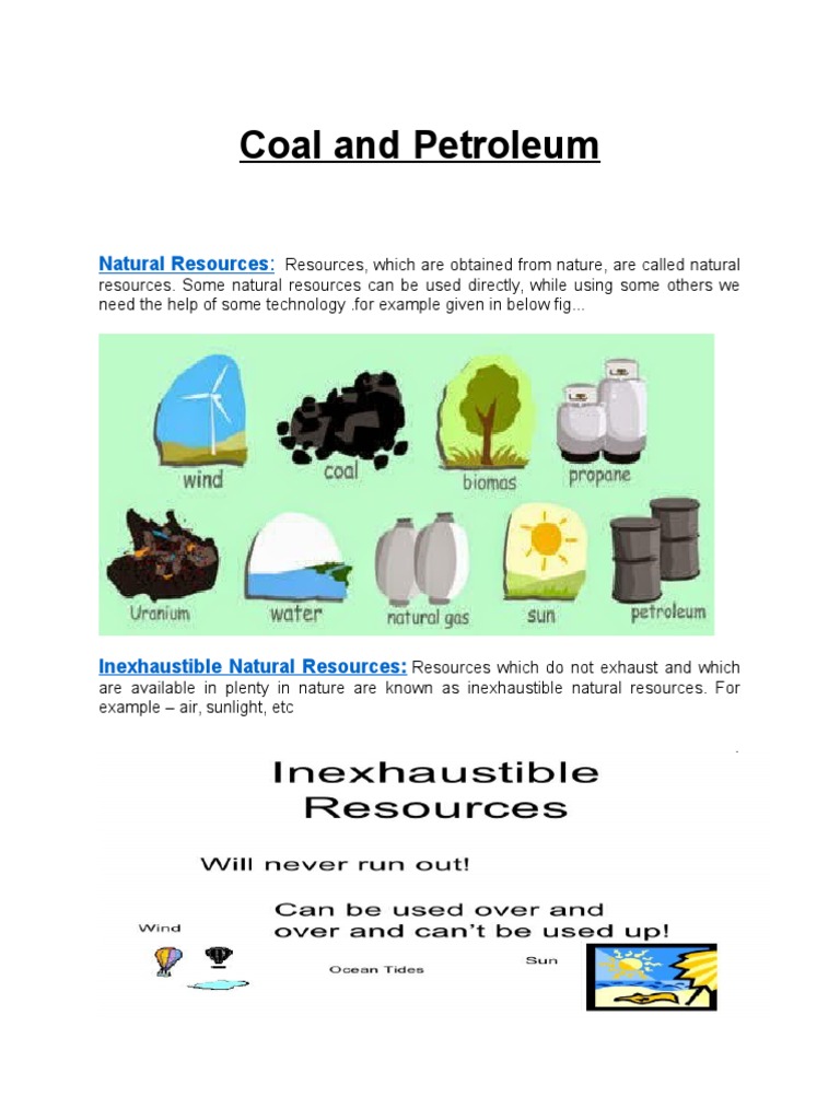 Coal and Petroleum.docx | Coal | Petroleum