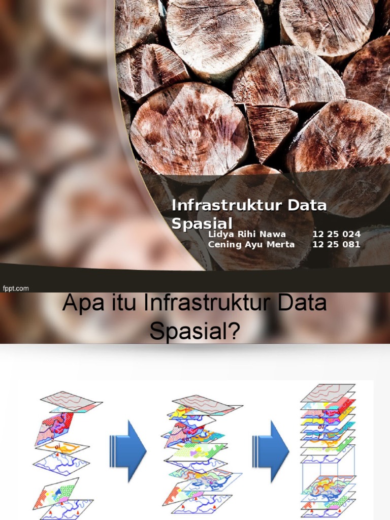 Infrastruktur Data Spasial | PDF
