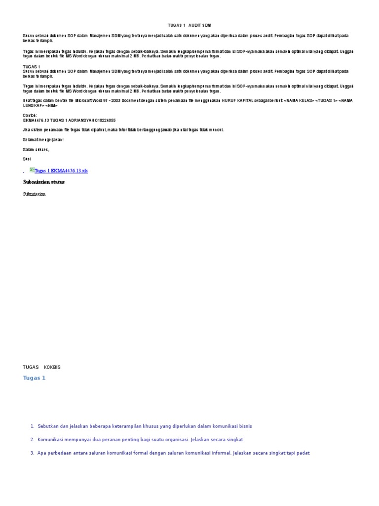 Tugas 1 Audit SDM | PDF