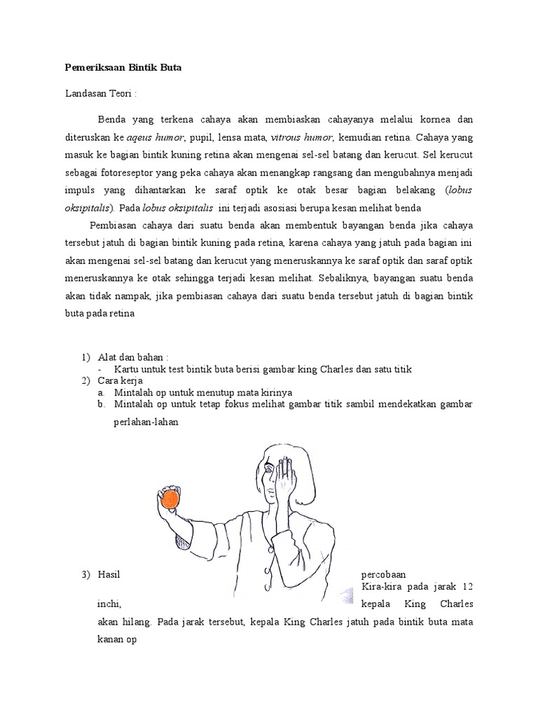 Pemeriksaan Bintik Buta | PDF