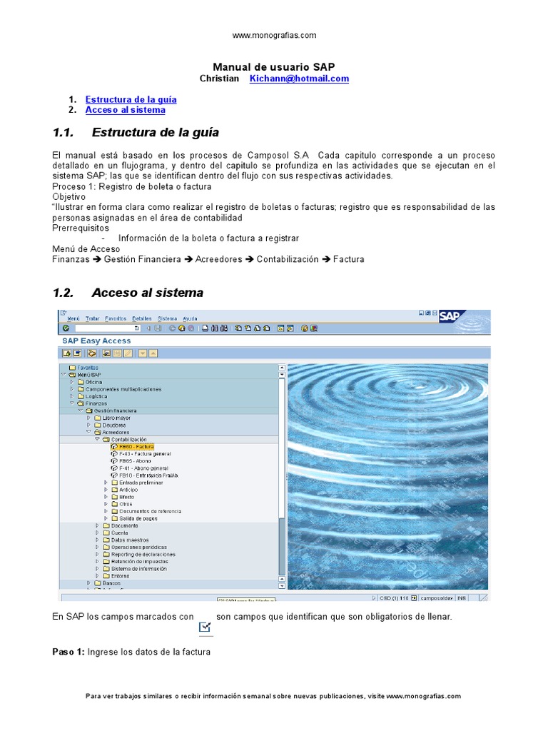 Registro de Facturas en SAP Camposol | PDF | Factura | Pagos