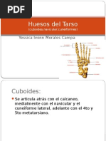 Ligamentos del Pie: Estructura y Función | PDF | Pie | Anatomía del ...