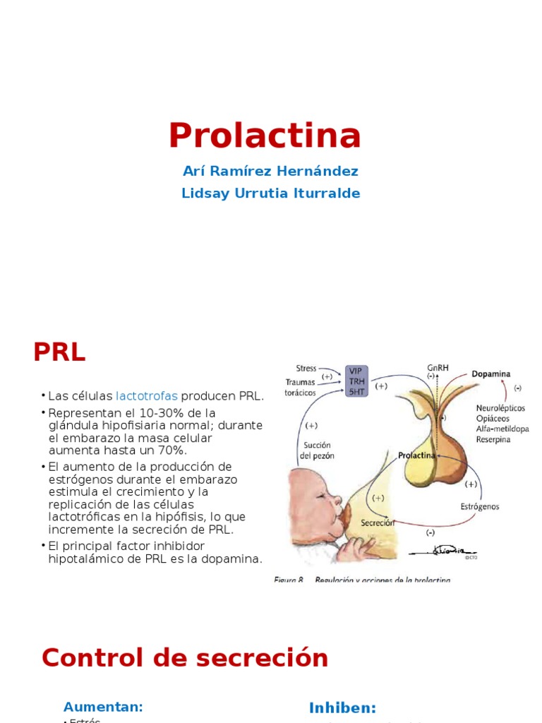 Prolactina | PDF