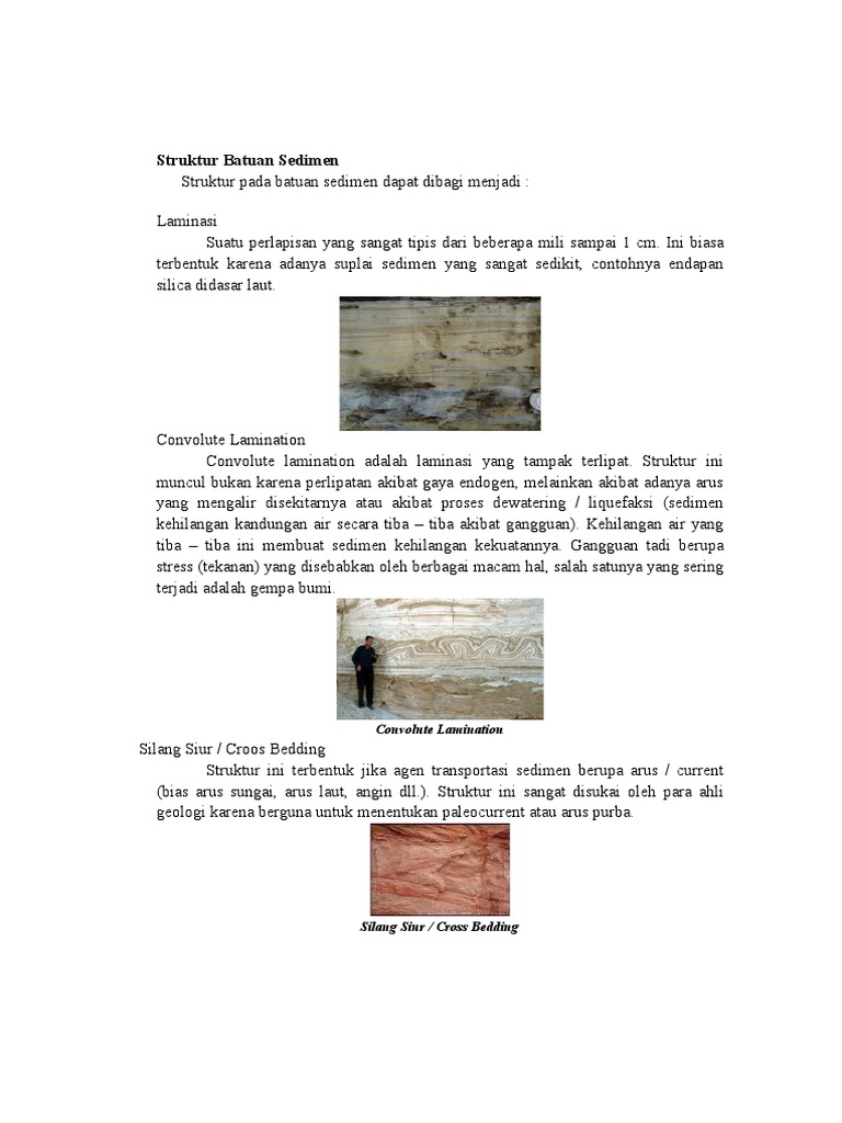 Struktur Batuan Sedimen | PDF