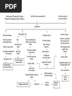 Pathway PPOK | PDF