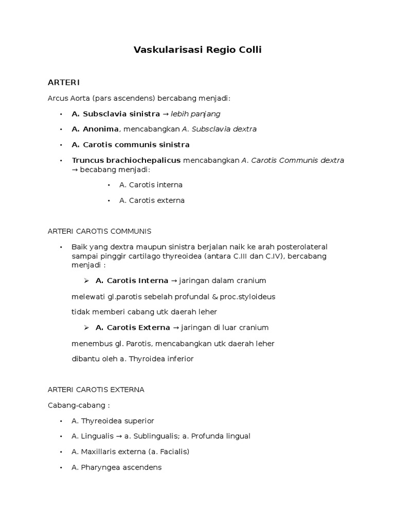 Vaskularisasi Regio Colli | PDF