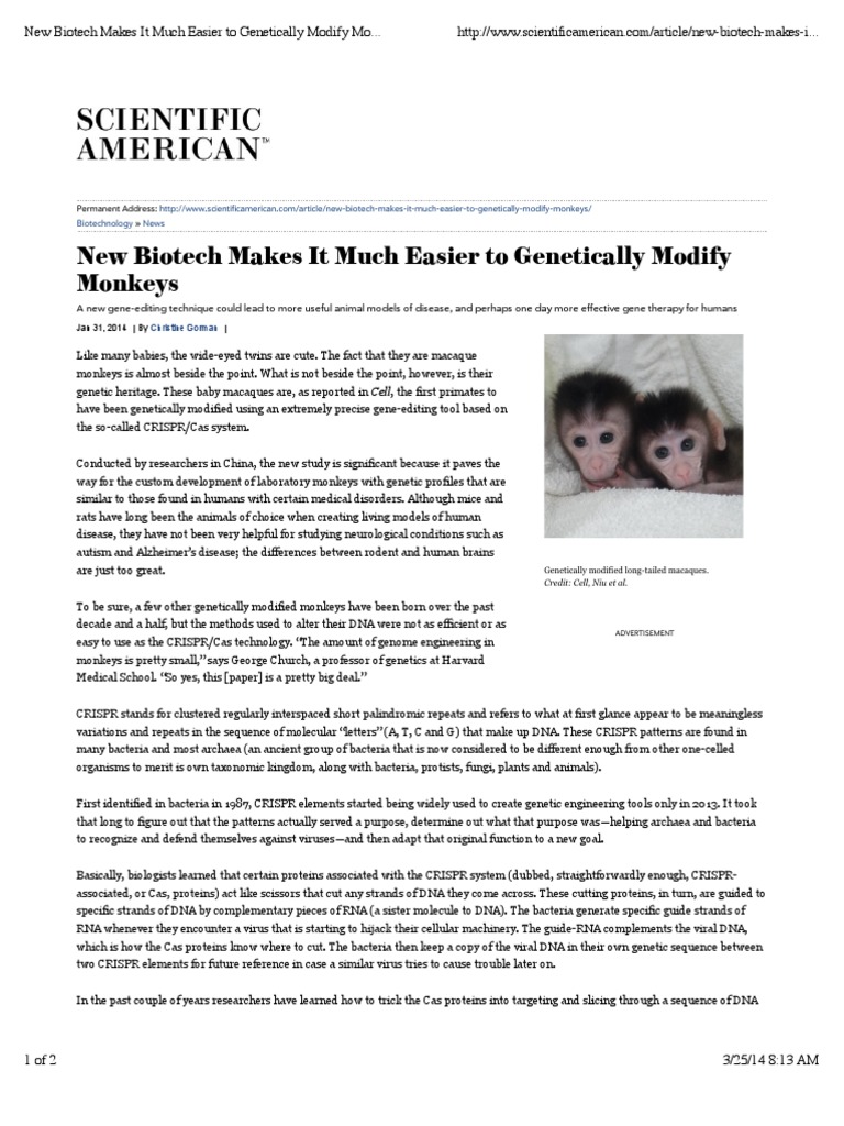 New Biotech Makes It Much Easier To Genetically Modify Monkeys ...