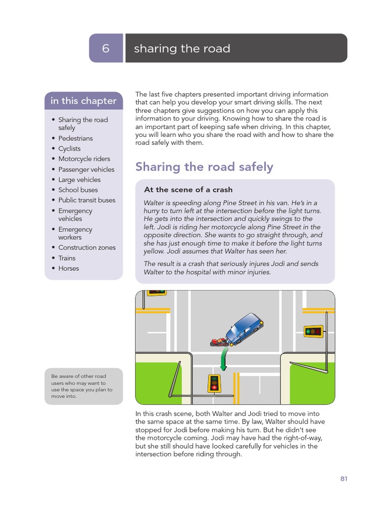 Sharing The Road Safely | PDF | Pedestrian Crossing | Traffic