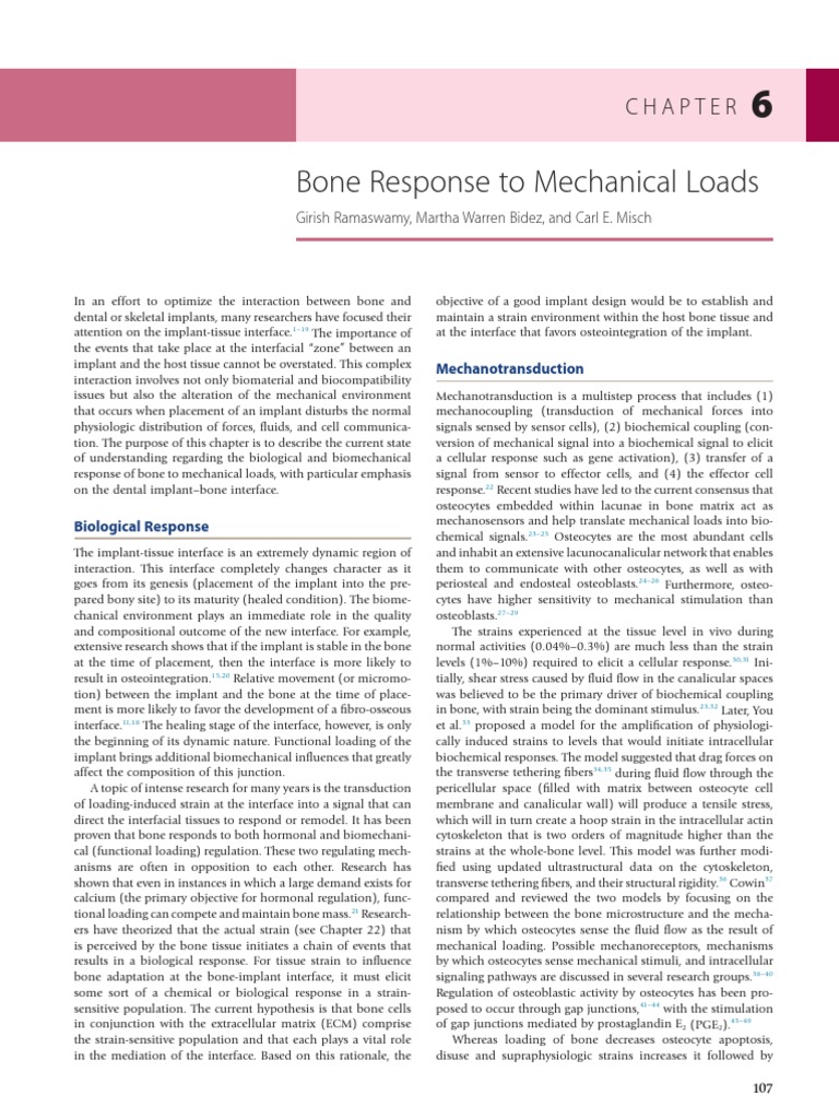 Mechanical Loads - Bone Response | Download Free PDF | Integrin ...
