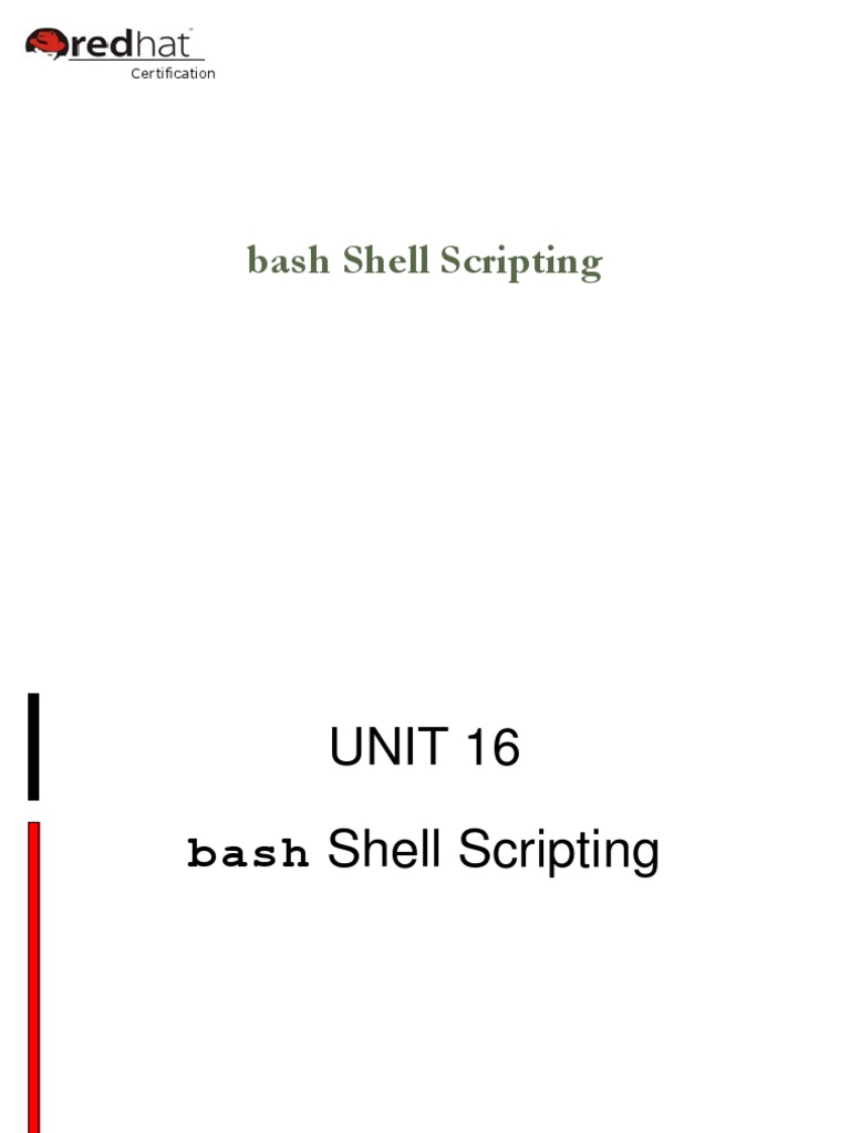 16 Bash Shell Scripting Pdf Pdf Parameter Computer Programming Command Line Interface 1710