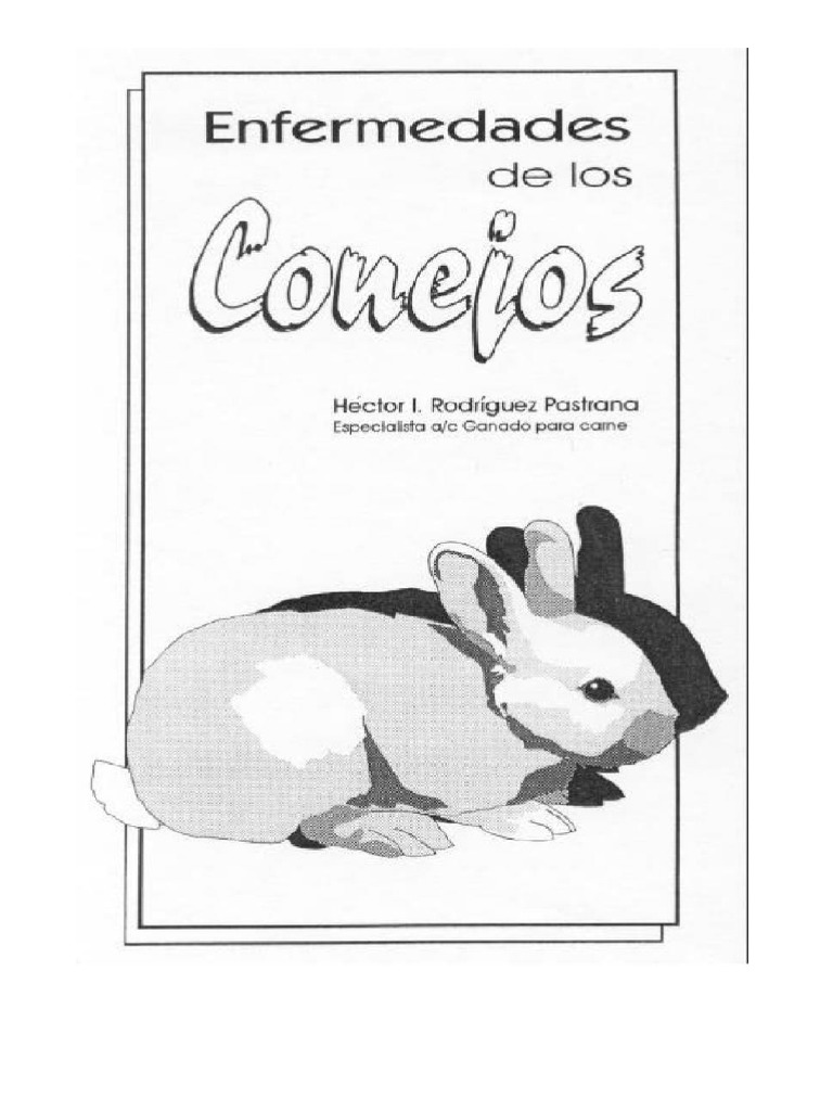 Enfermedades Del Conejo | PDF
