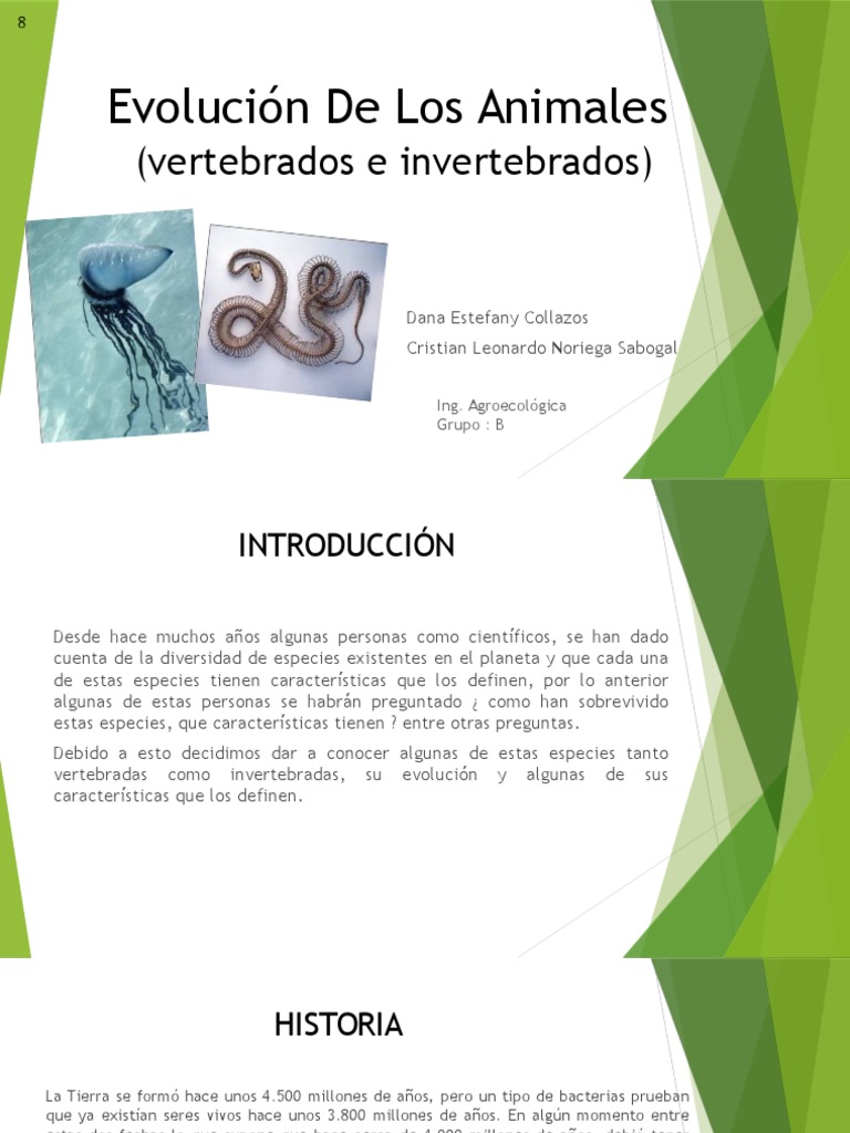 LA EVOLUCIÓN DE LOS ANIMALES | Mamíferos | Vertebrados