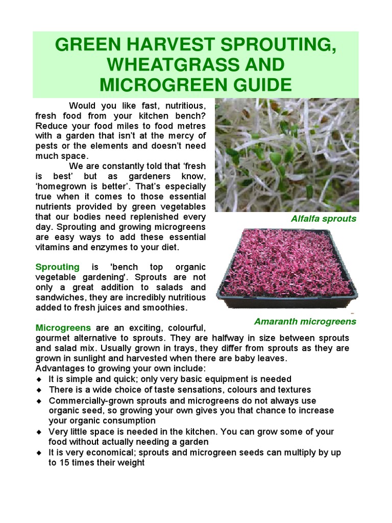 Sprouting Booklet | PDF | Seed | Edible Plants