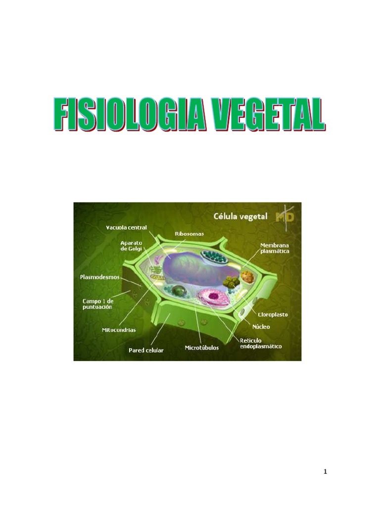 Nociones de Fisiología Vegetal | Fisiología de las plantas | Plantas