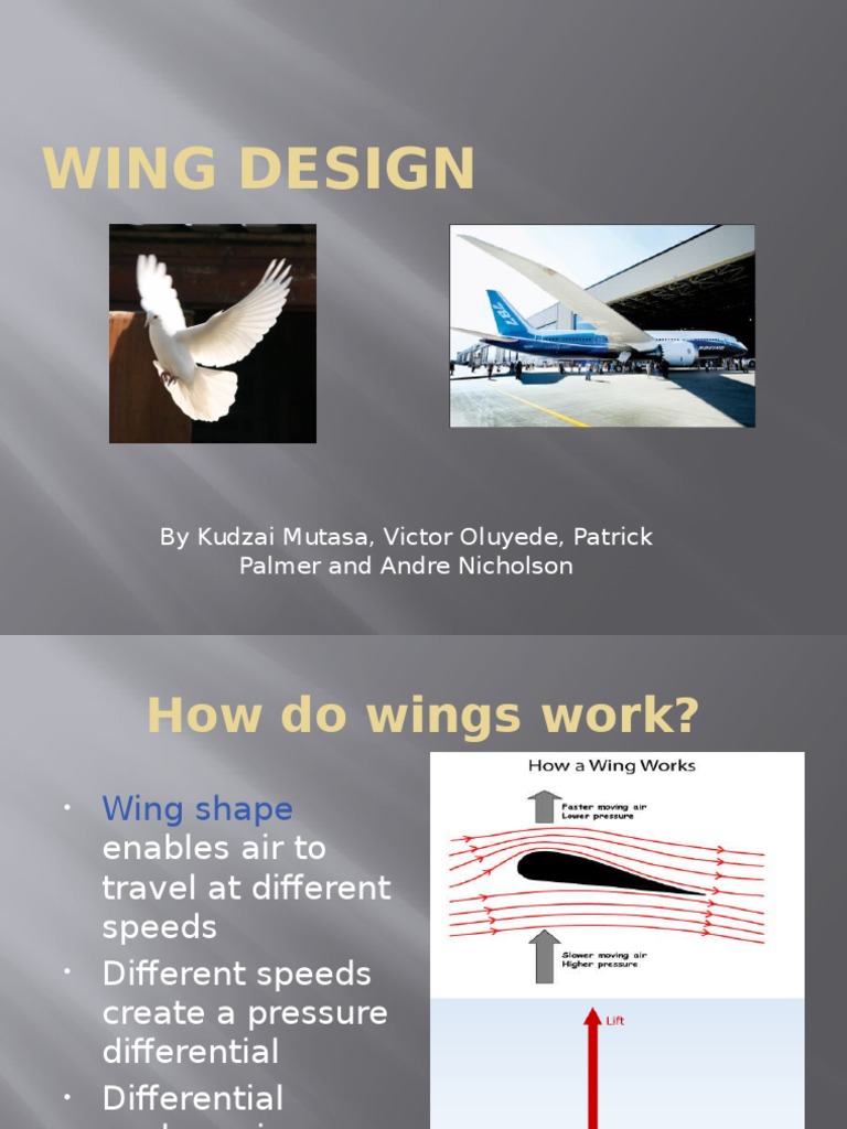 Wing Design | PDF | Wing | Lift (Force)