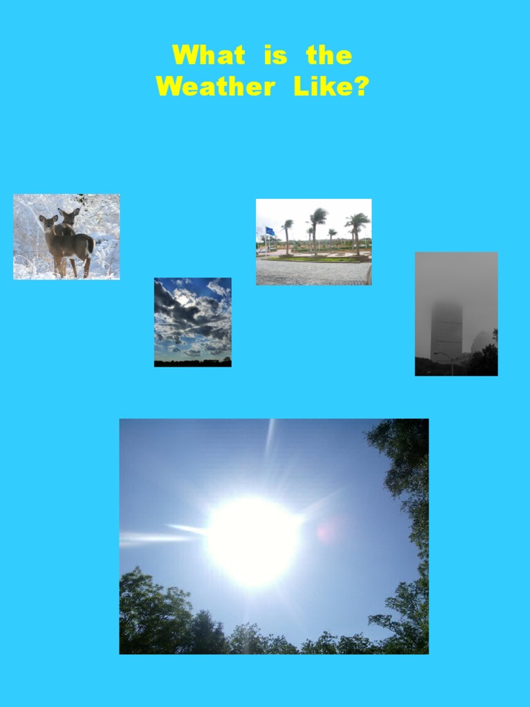 Types of Weather Conditions Explained | PDF