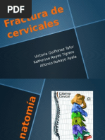 RX Columna Cervical | PDF | La columna vertebral | Vértebra