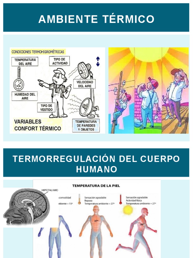 AMBIENTE-TÉRMICO Diapositivas | PDF | Termorregulación | Calor