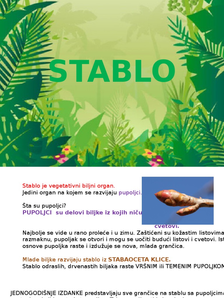 STABLO | PDF