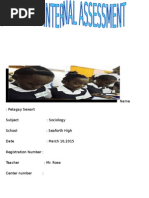 Caribbean Studies IA Guidelines PDF | PDF | Citation | Data