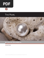 The Pearl Book Notes Study Guide | PDF