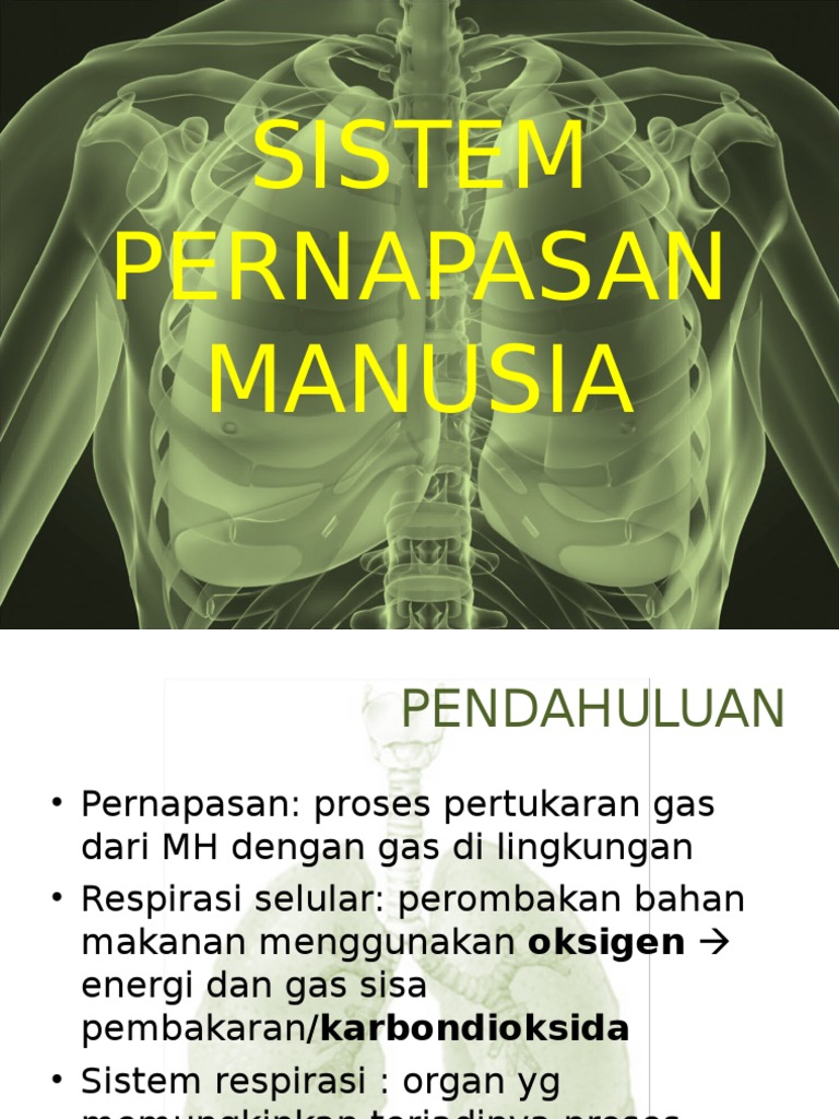 Sistem Pernapasan Manusia | PDF | Sistem Pernapasan | Ekshalasi
