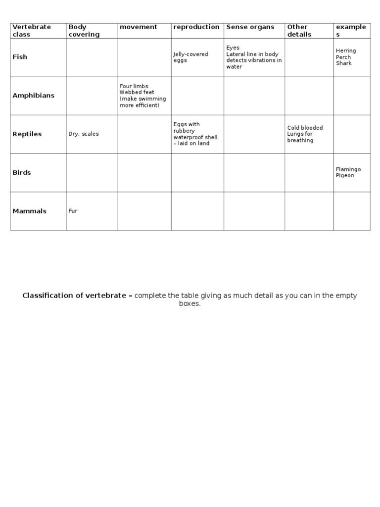 Vertebrate Classification Overview | PDF