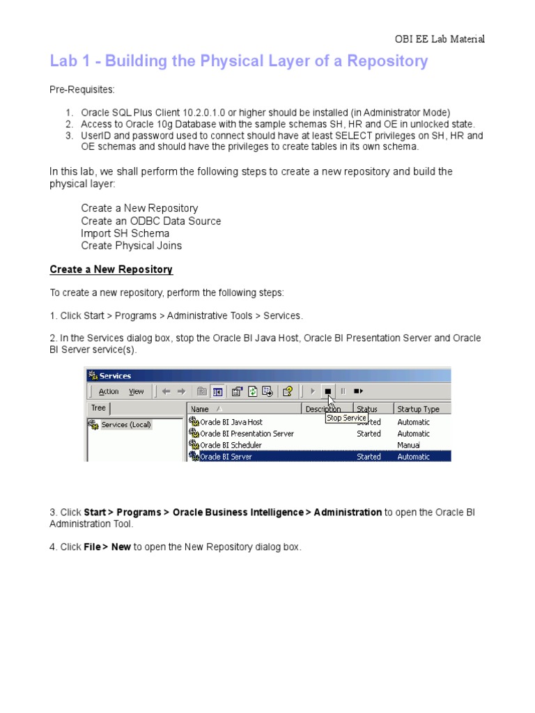 Lab 1 Physical Layer OBIEE | PDF | Database Schema | Databases