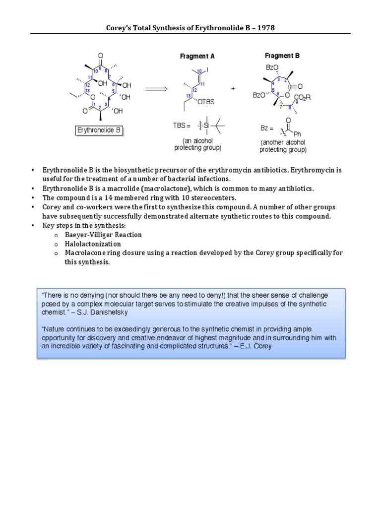 Corey's Total Synthesis of Erythronolide B - 1978 | PDF | Chemical ...