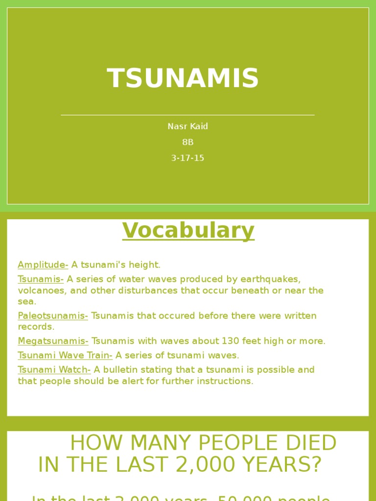 Understanding Tsunamis: Facts & Risks | PDF | Travel
