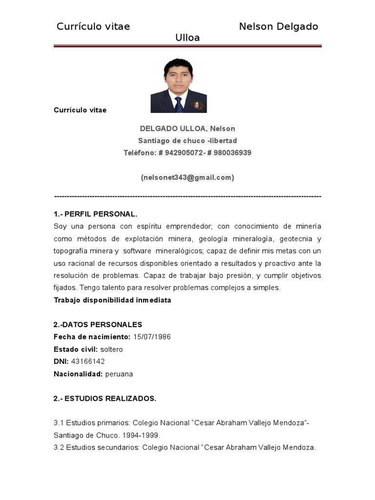 Curriculum Vitae Nelson Delgado | PDF | Negocios