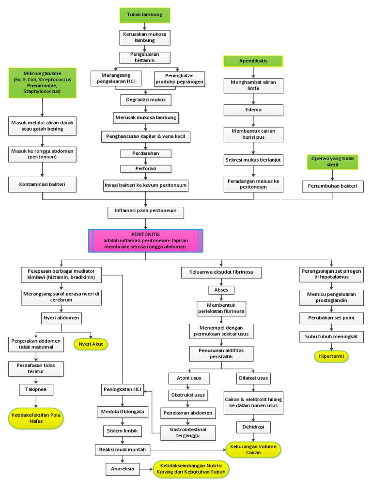 Woc Peritonitis PDF | PDF