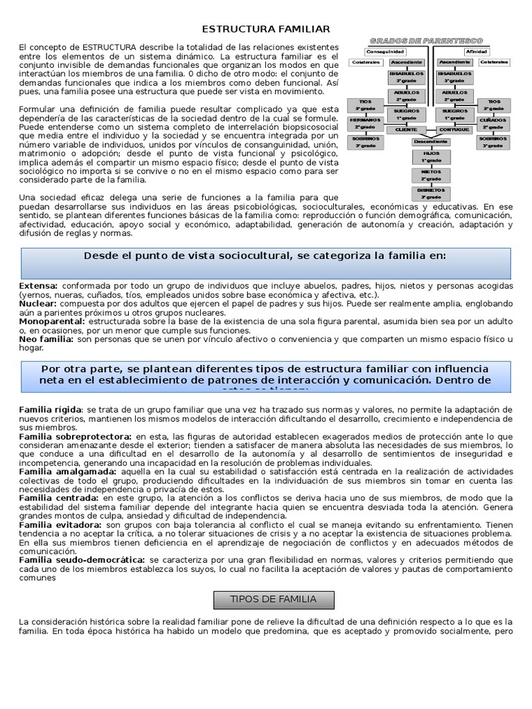 Estructura Familiar | PDF | Familia | Adultos