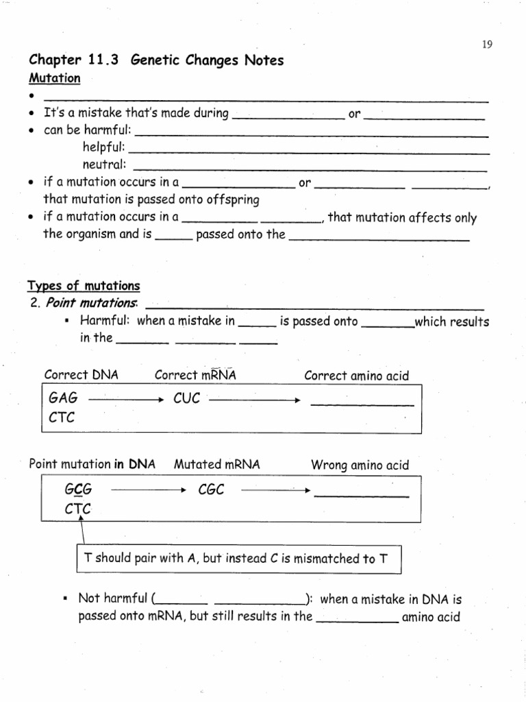Chapter 11.3 Notes | PDF