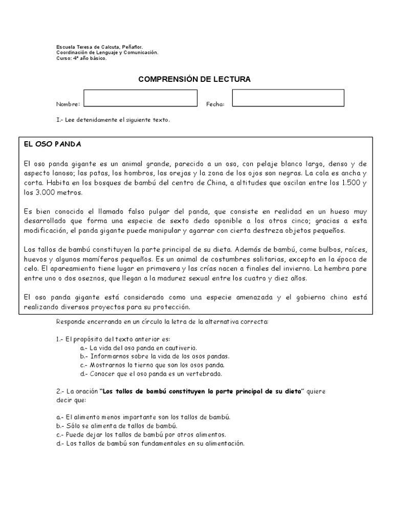 Comprensiã"n El Oso Panda Gigante | PDF | Panda gigante | Osos