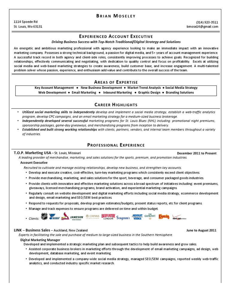 Moseley Digital Marketing Expertise | PDF | Search Engine Marketing ...