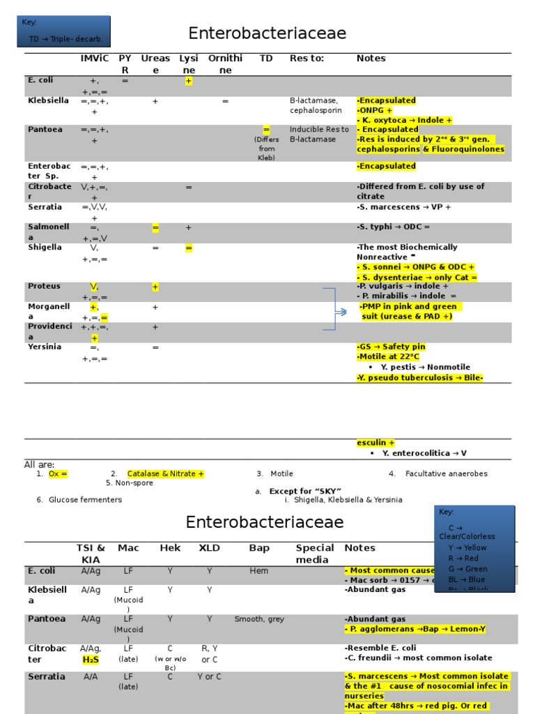 Enterobacteriaceae: Imvic Py R Ureas e Lysi ne Ornithi ne TD Res to ...