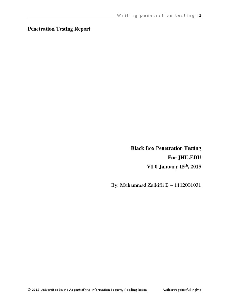 Penetration Testing Report | PDF