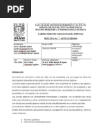 Rynatan | PDF | Especialidades Medicas | Farmacología