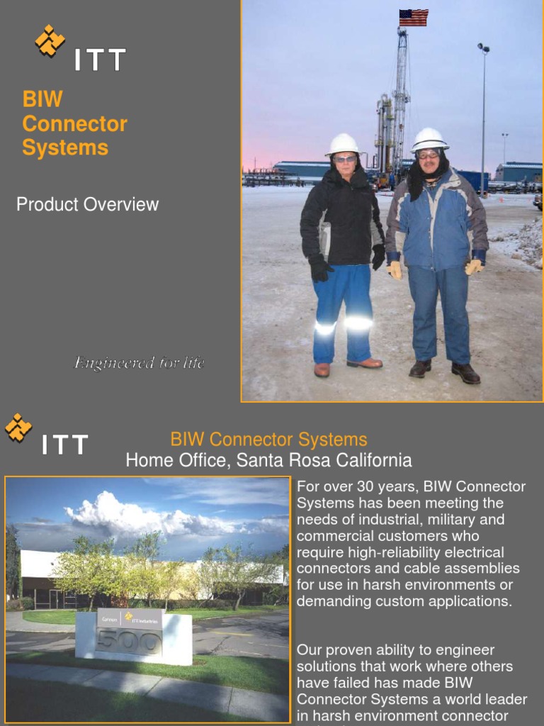 BIW | PDF | Electrical Connector | Electrical Engineering
