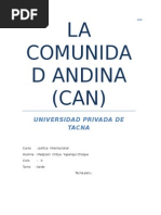 Qué es la Comunidad Andina (CAN) | PDF | Comunidad andina | Gobierno