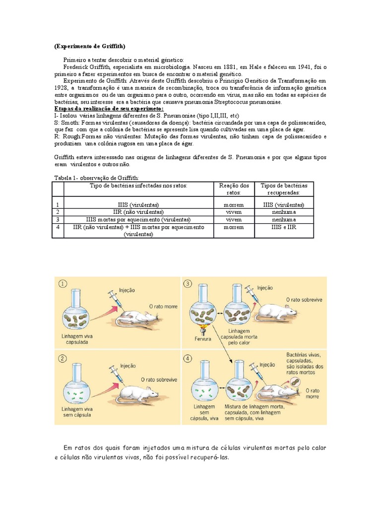 Experimento de Griffith | PDF | DNA | Vírus