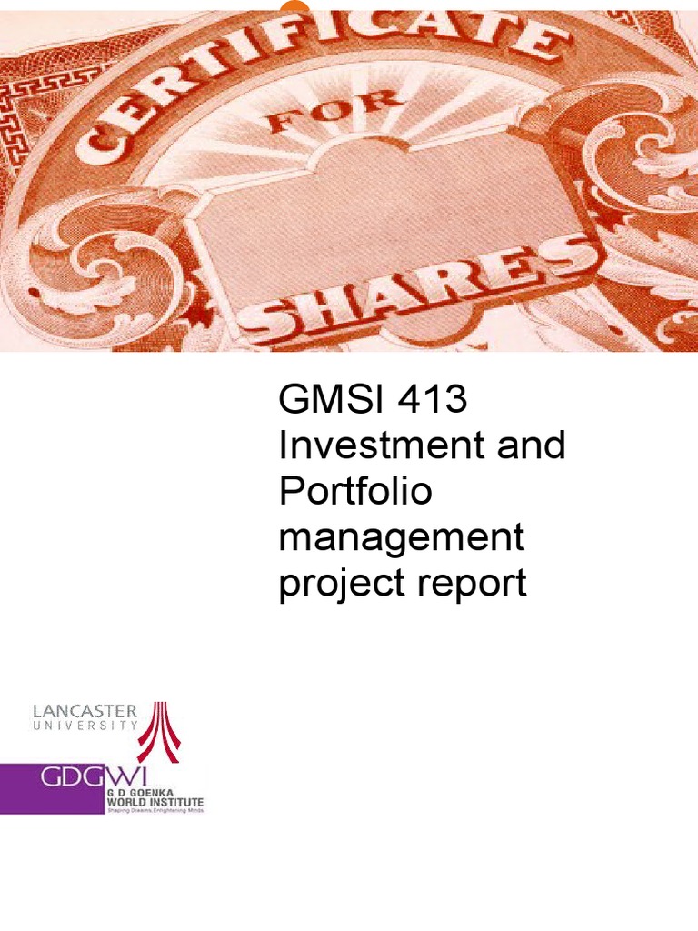 Investment & Portfolio Management Report | PDF