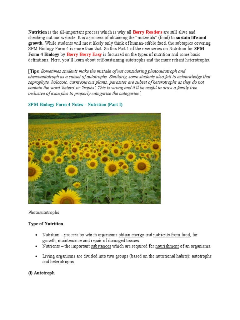 Nutrition Bio f4 | PDF | Vitamin | Food Energy