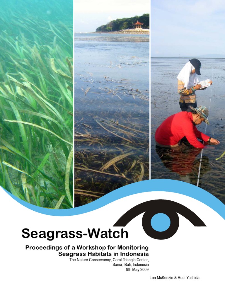 Seagrass Watch Bali Workshop May09 PDF | PDF | Coral Reef | Estuary