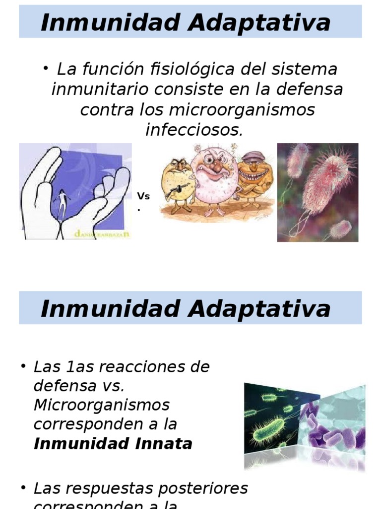 Inmunidad Adaptativa | PDF | Sistema inmune | Célula T